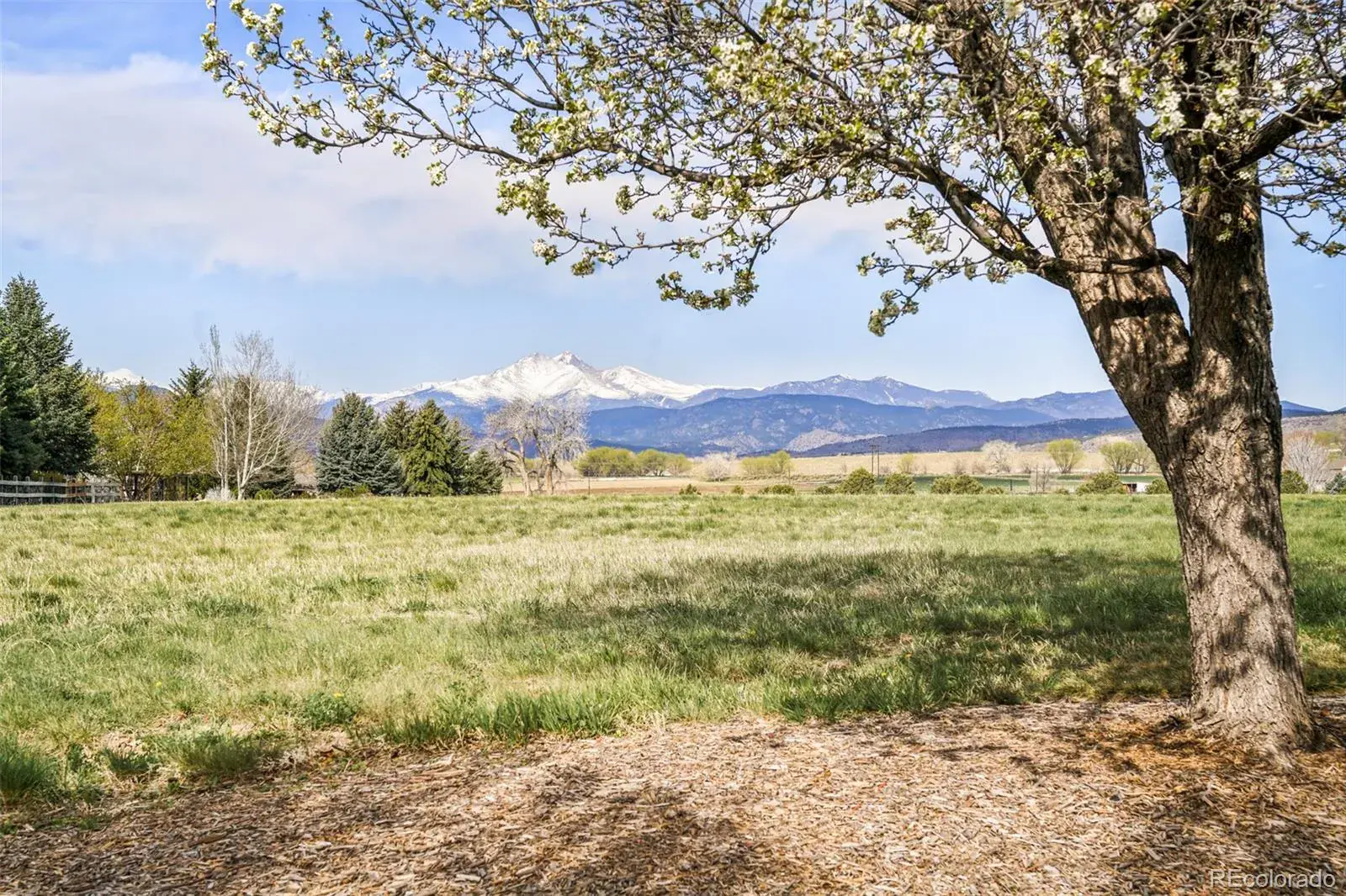 Jennifer Fly, Managing Broker