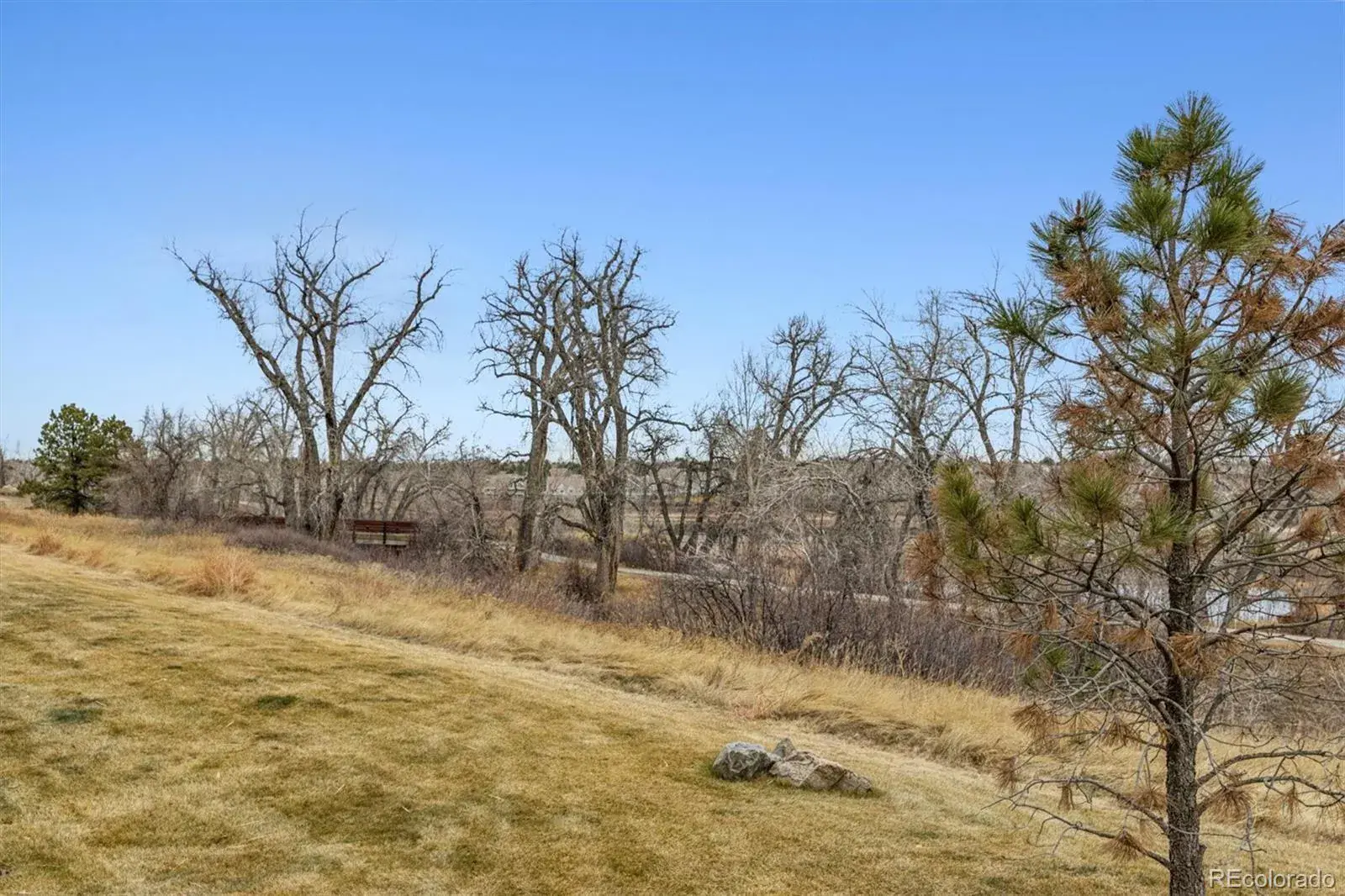 2065 Primo Road #F Highlands Ranch CO 80129 MLS #REC9842226